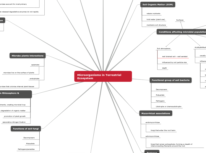 Soil Habitat - Mind Map